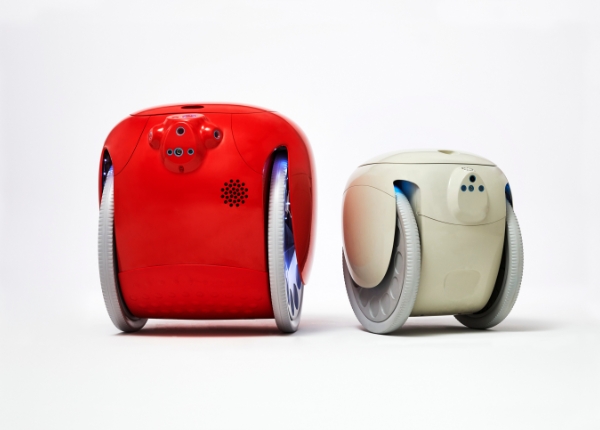 Meet gita & gitamini